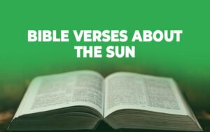 33+ Bible Verses About The Sun - studythebiblewithus.com