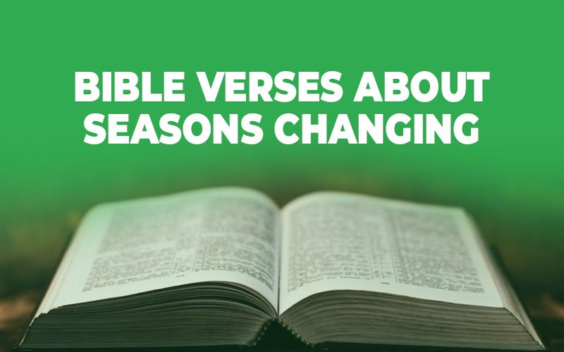 33+ Bible Verses About Seasons Changing - studythebiblewithus.com